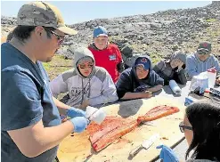 IN CANADA’S ARCTIC, INDIGENOUS TRADITIONS HELP INUIT YOUTH COMBAT ...