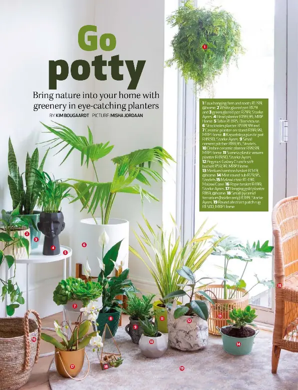 Prettiest plant pots - PressReader