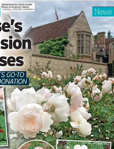 Historic house’s garden extension coming up roses - PressReader