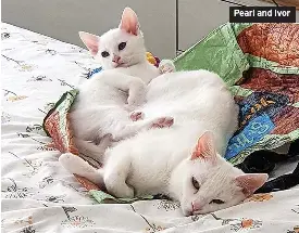 Animal Rescue with Marion Garnett - PressReader