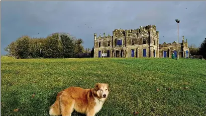 Consultati­on launched on services for those bereaved by suicide ...