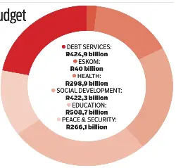 Mixed reactions to Godongwana’s budget - PressReader