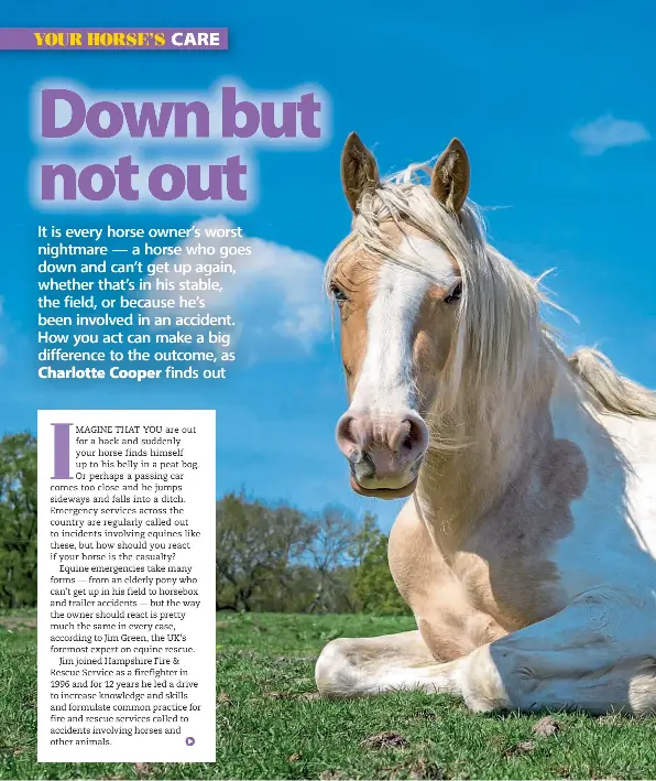 Down but not out - PressReader