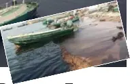 Shell oil spill at Bonny Export Terminal threatens local economy ...