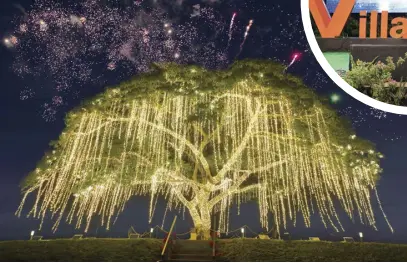 Villar City’s Heritage Tree gets all lit up - PressReader