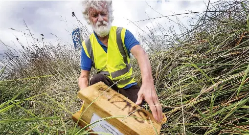 Big plans for pest trapping at beach - PressReader