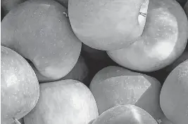 A new Wash. apple will hit market before 2030. Here’s how you can help ...