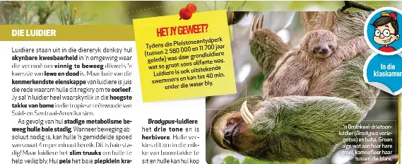 DIE LUIDIER - PressReader