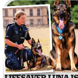 LIFESAVER LUNA IS A PAW-FECT HERO - PressReader