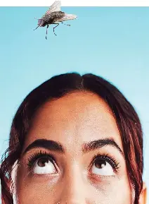 Buzz off ! - PressReader