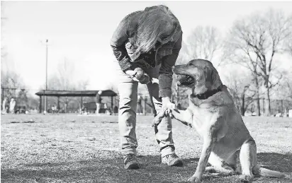 Warmer days are for the dogs - PressReader