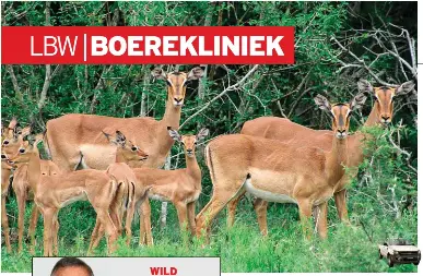 WILD VOEDING VIR ROOIBOKKE - PressReader