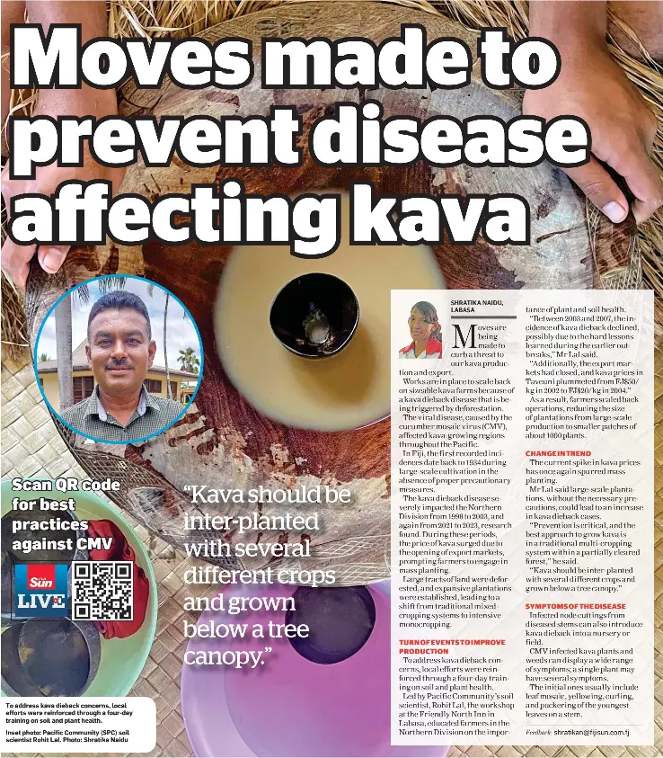 Moves made to prevent disease affecting kava - PressReader