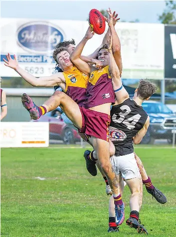 Gulls thirds open season with strong win - PressReader