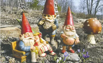 A BRIEF HISTORY OF THE GARDEN GNOME - PressReader