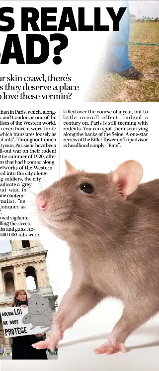 ARE RATS REALLY THAT BAD? - PressReader
