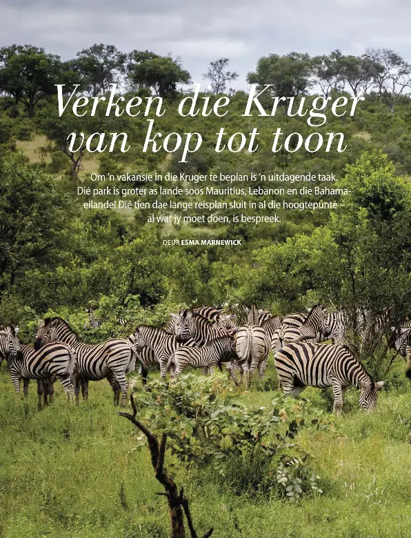 KRUGER-REISPLAN - PressReader