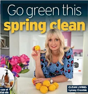 Go green this spring clean - PressReader