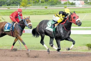 Digital One, Fred The Great to dominate Hubert Bartley Trophy - PressReader