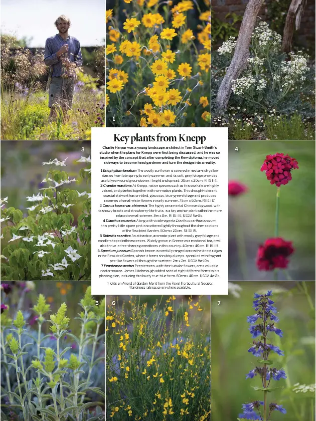 Key plants from Knepp - PressReader