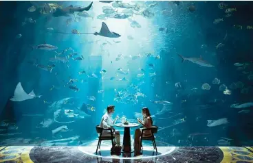 Atlantis invites guests to experience ‘A World Away’ - PressReader