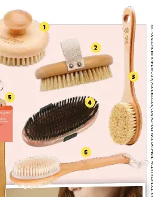CHOOSING YOUR BRUSH - PressReader