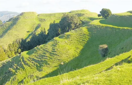 Iwi to hold Matariki ceremony - PressReader