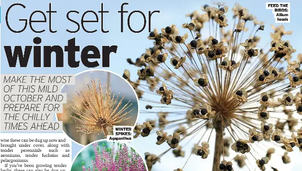 MAKE THE MOST OF THIS MILD OCTOBER AND PREPARE FOR THE CHILLY TIMES AHEAD - PressReader
