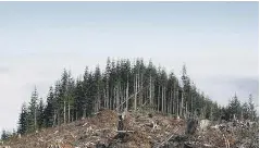 DEFORESTAT­ION - PressReader