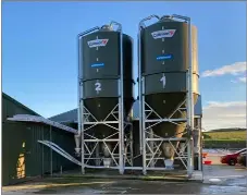 New egg farmer focuses on nutrition to extend laying - PressReader