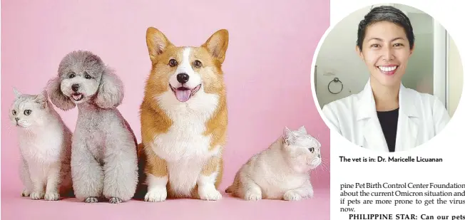 CAN MY PET GET COVID-19 OR ANY OF ITS VARIANTS? - PressReader