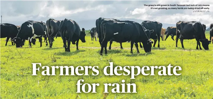 Farmers desperate for rain - PressReader