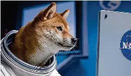 NASA watchdog site’s mission more urgent now, founder says - PressReader