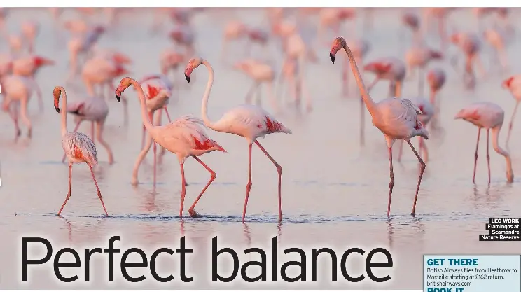 Perfect balance - PressReader