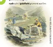 California Gold Rush - PressReader