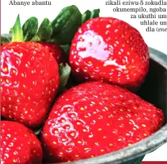 AYANDA KHANYILE: - PressReader