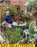 MY BEAUTIFUL BACKYARD - PressReader