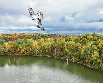 Leaf peeping in Ohio: Patchy, sporadic fall color changes begin ...