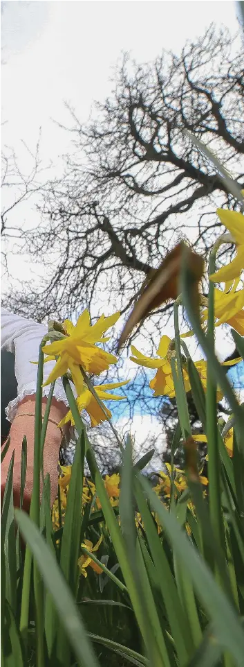 Seeds of hope How to create a wildlife haven in your garden - PressReader