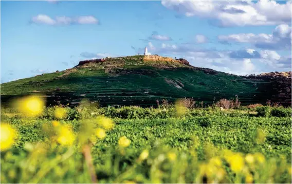 Spring is blooming! - PressReader