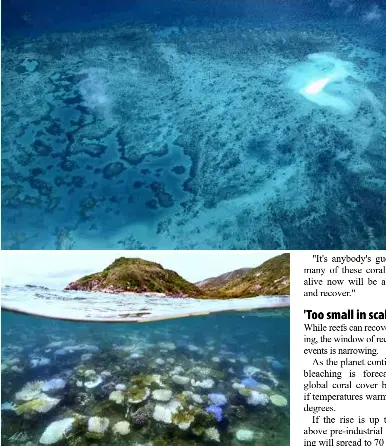 Australia's Great Barrier Reef struggles to survive - PressReader
