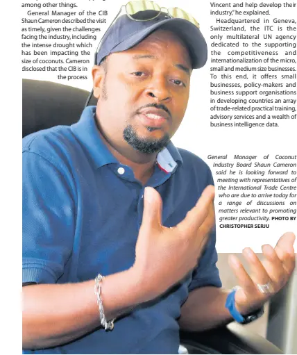 Move to strengthen coconut cultivatio­n - PressReader