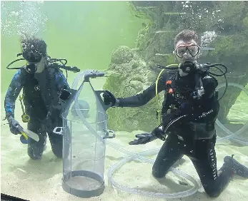 Clean-up mission just ray-markable - PressReader