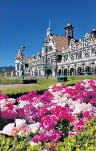 Ensure your summer blooms make the cut - PressReader