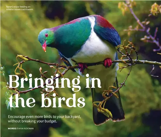 Bringing in the birds - PressReader