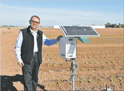 Soil sensors, drip reduce water use in desert lettuce - PressReader