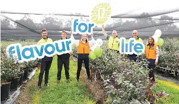 Growing flavours for life - PressReader
