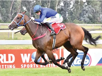 Travelling Muzi is on a roll - PressReader