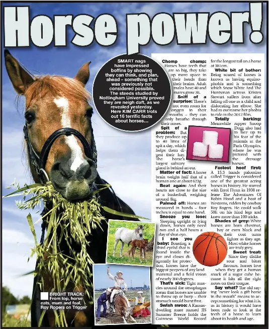 NAGS ARE MORE CLEVER THAN WE THOUGHT Horse power! - PressReader