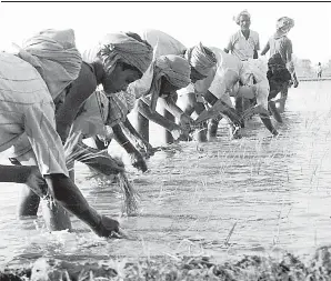 Indian growth beats expectatio­ns - PressReader